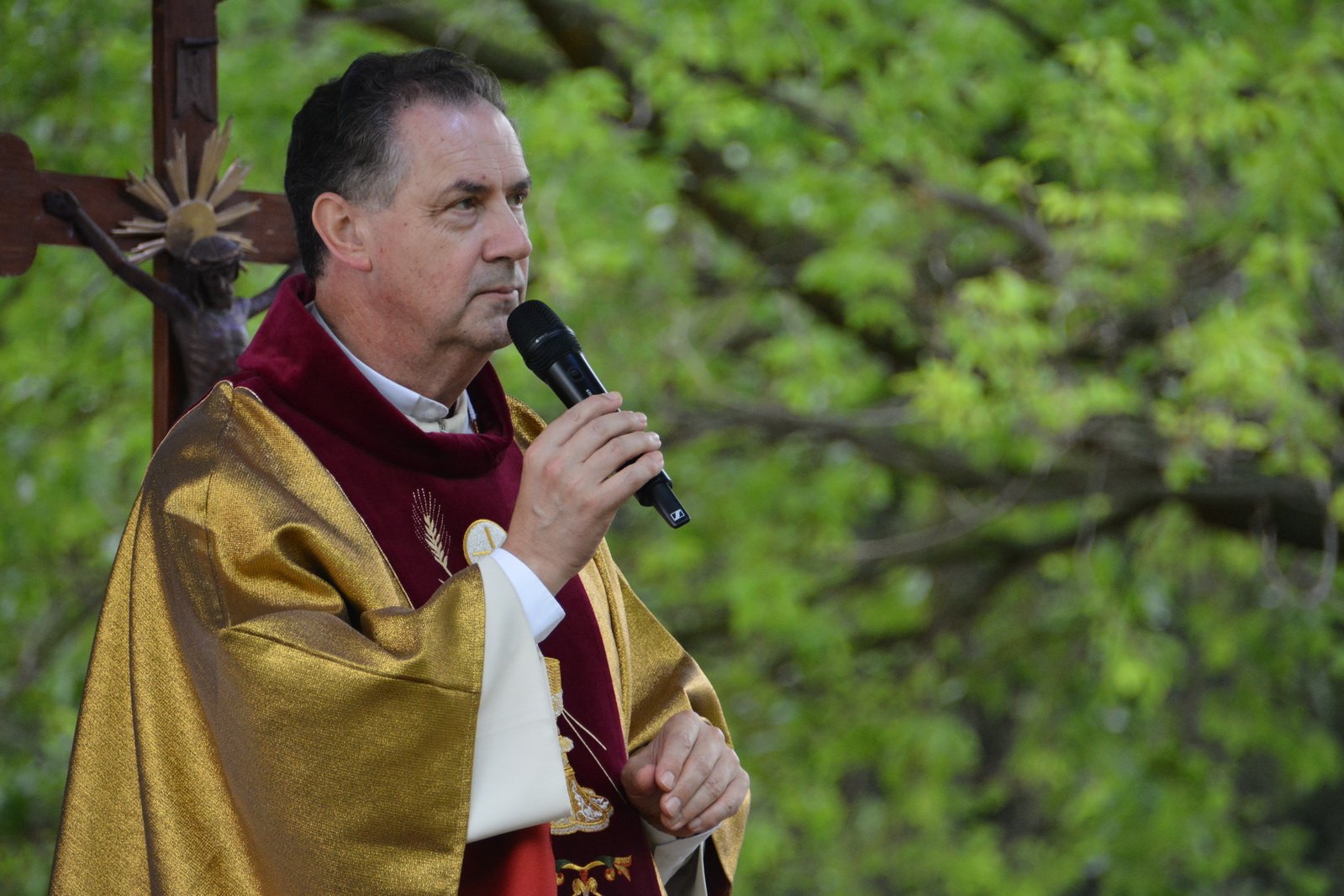 Hungary – Blessed Stephen Sándor “returns home”