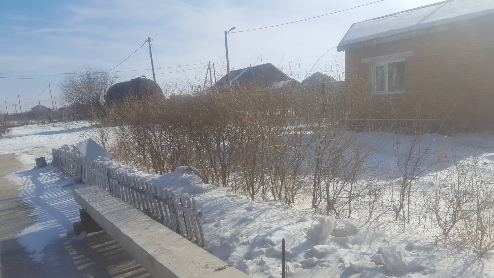 Mongolia – The Shuwuu community is growing greener