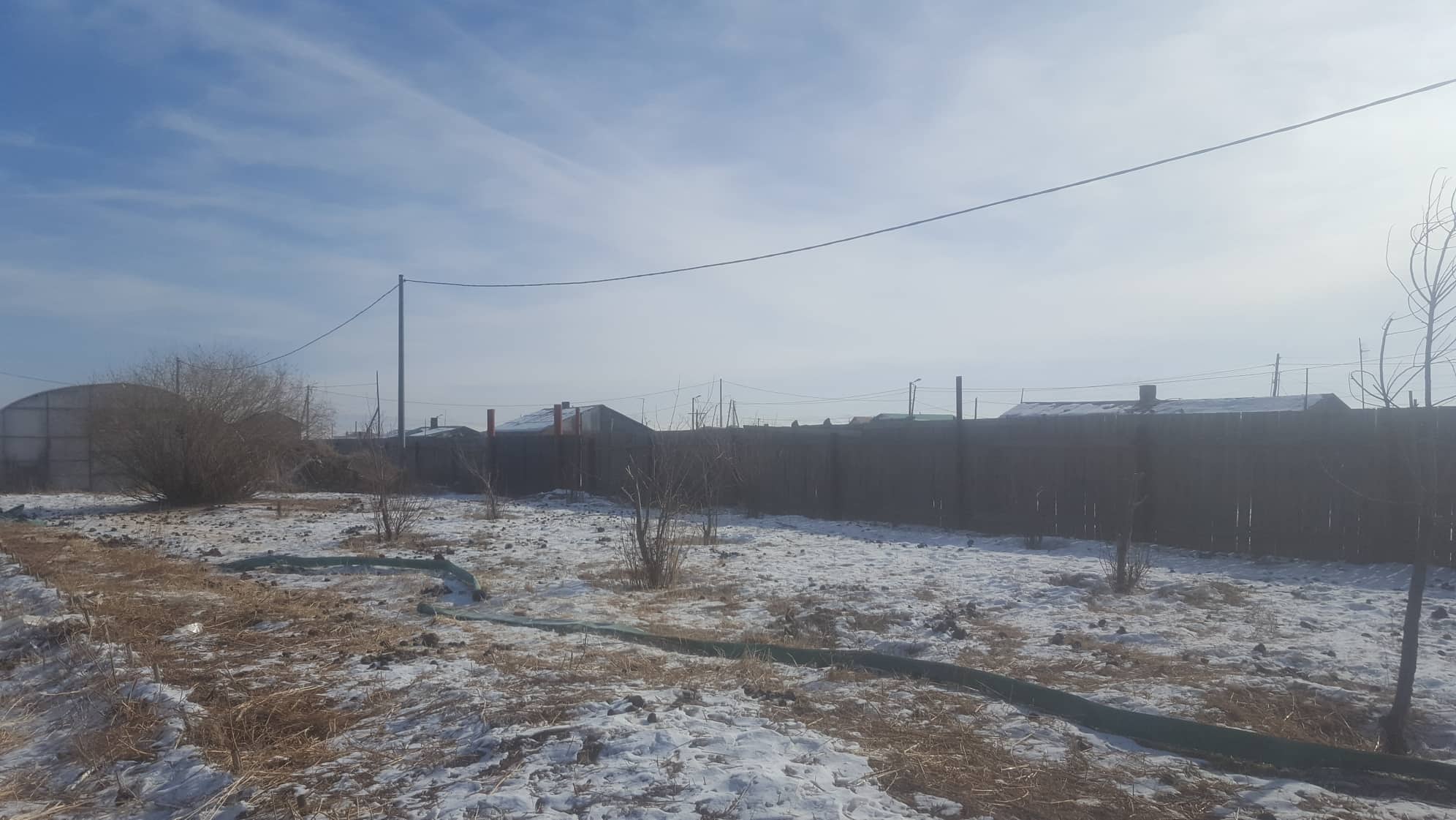 Mongolia – The Shuwuu community is growing greener